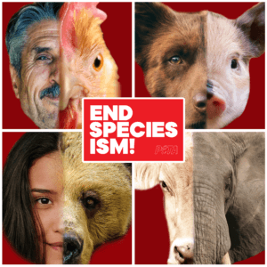 Kat Graham Joins New Campaign to End Speciesism | PETA Video