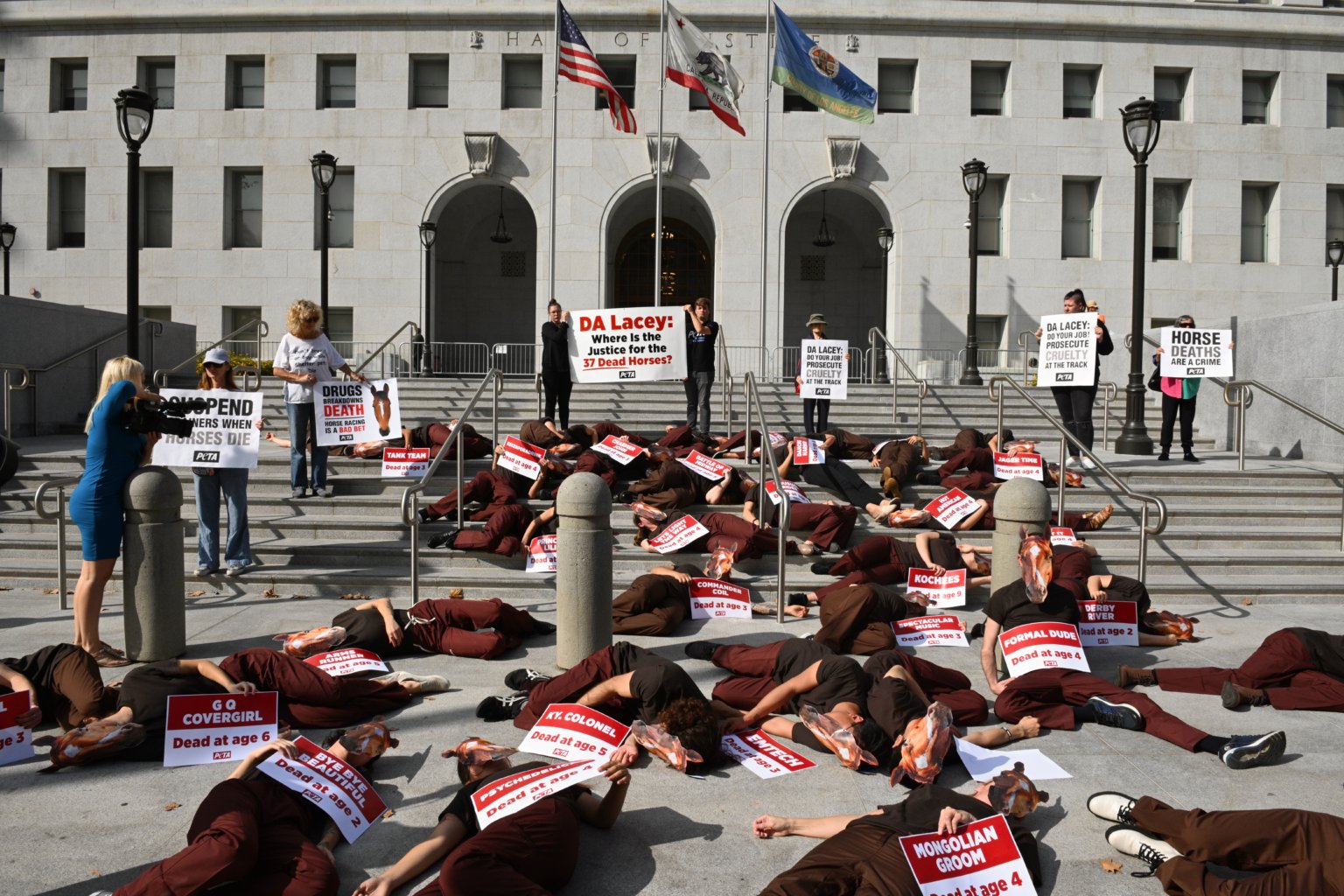 PHOTOS: The Most Head-Turning Protests of 2019 | PETA