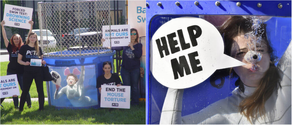 PHOTOS: The Most Head-Turning Protests of 2019 | PETA