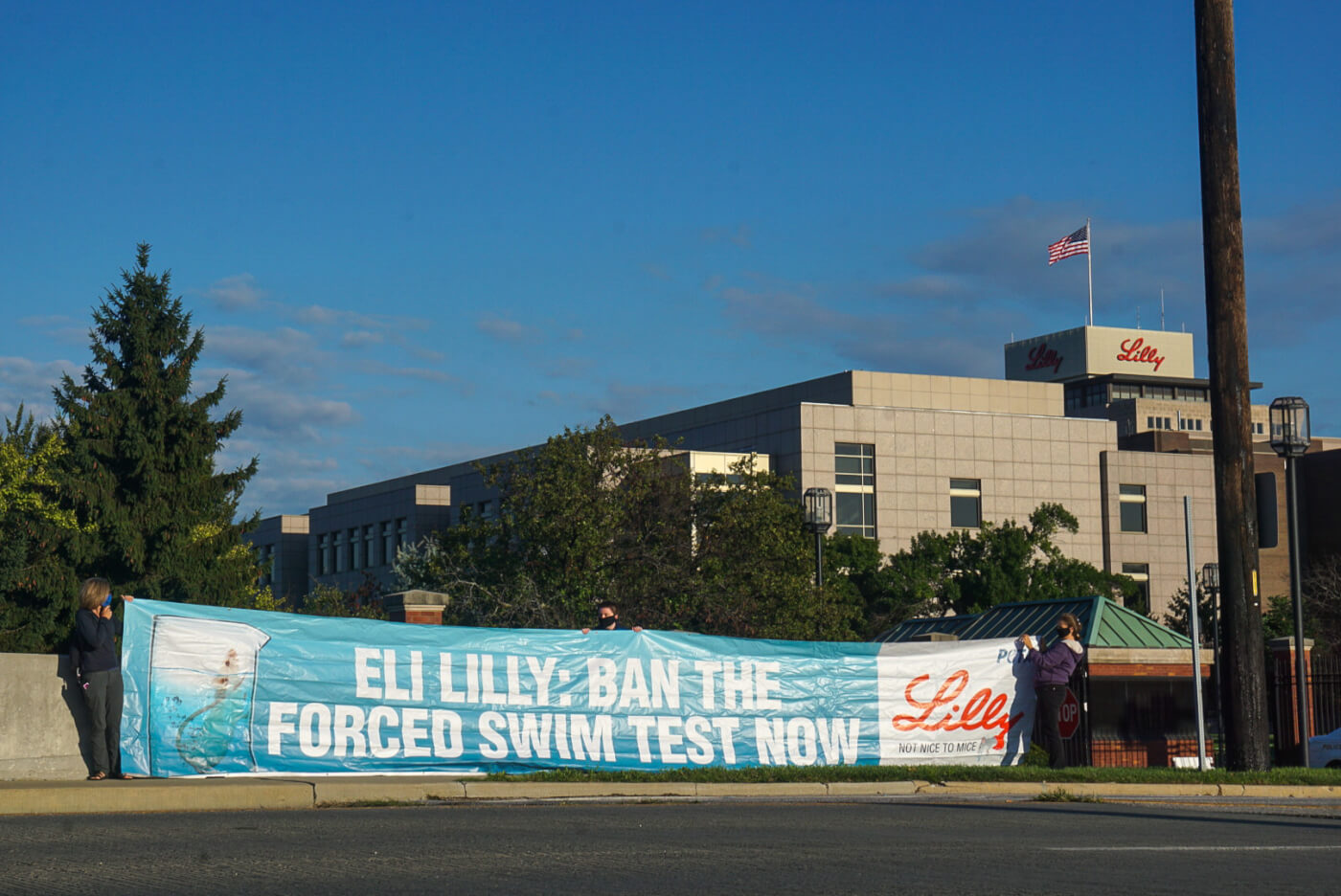 PETA's Eli Lilly Campaign Updates | PETA