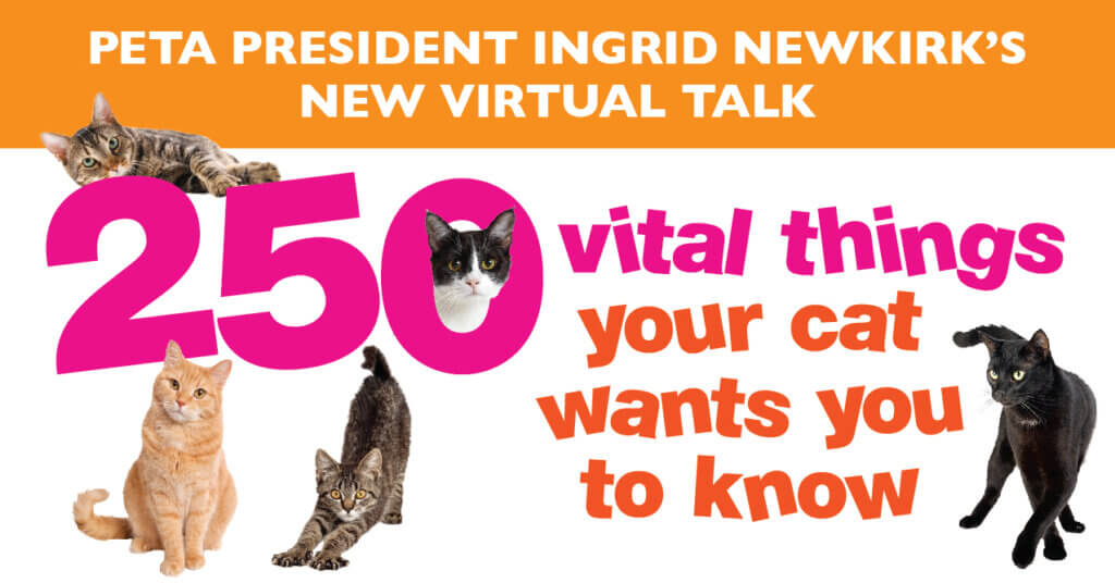 Ingrid Newkirk’s Virtual Book Talk | PETA