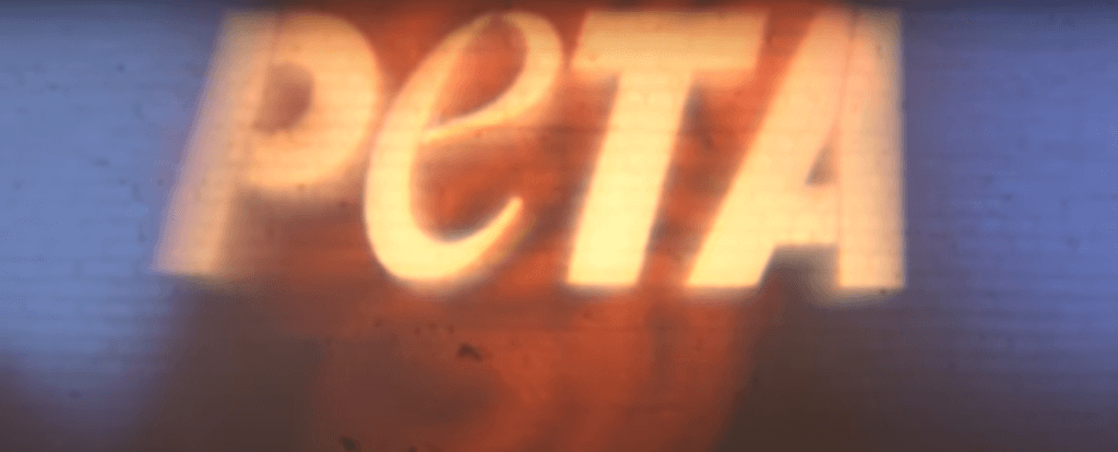 PETA Reveals: Everybody's Got a Story (VIDEO)