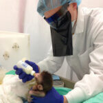 Baby Monkeys’ Eyes Sewn Shut by Harvard Experimenter | PETA
