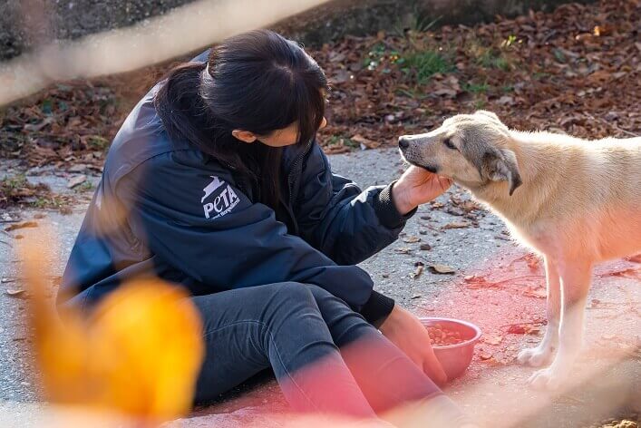 Meet the Staffers at PETA Entities Around the World