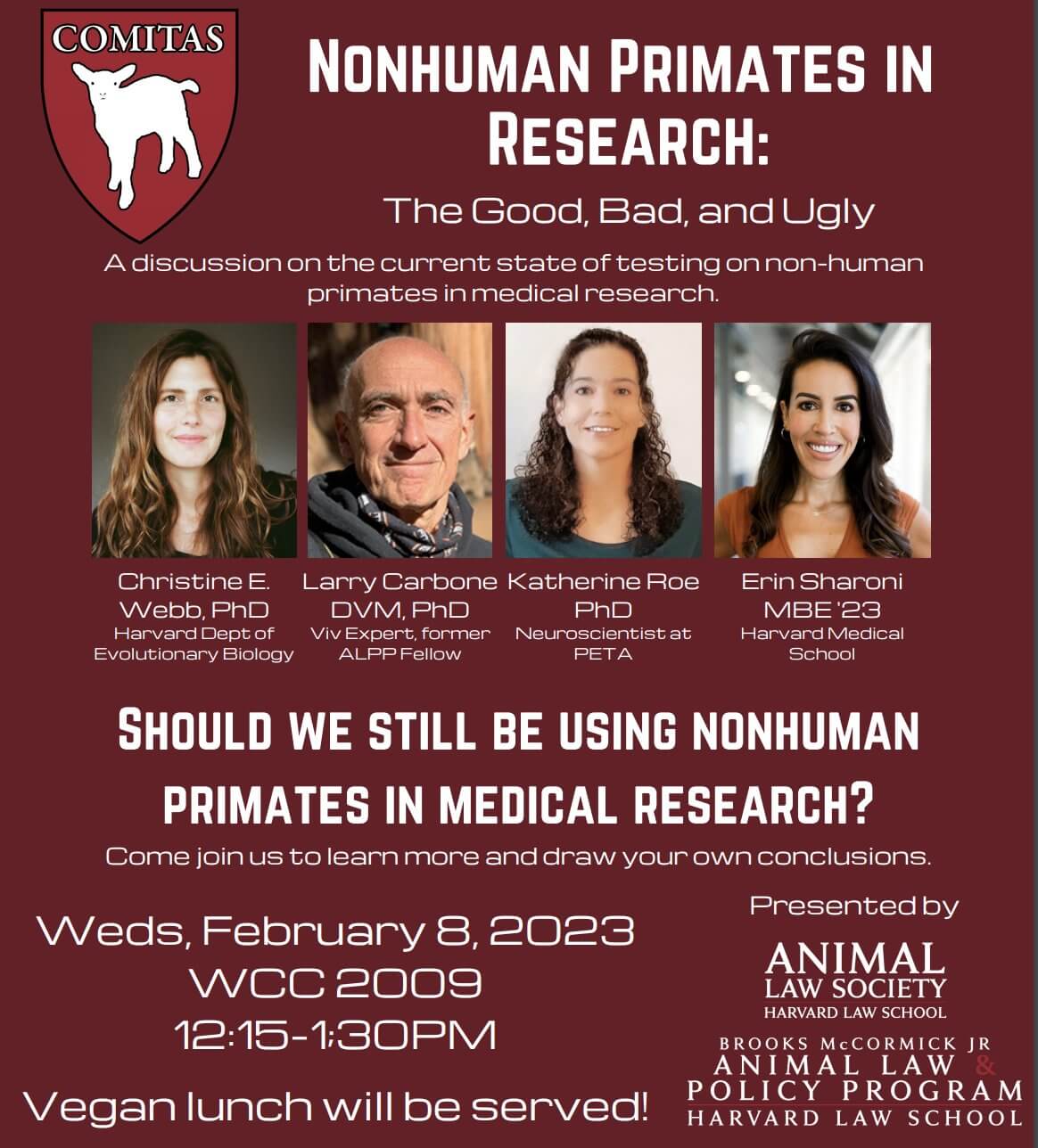 Campaign Updates: Harvard Baby Monkey Experiments | PETA