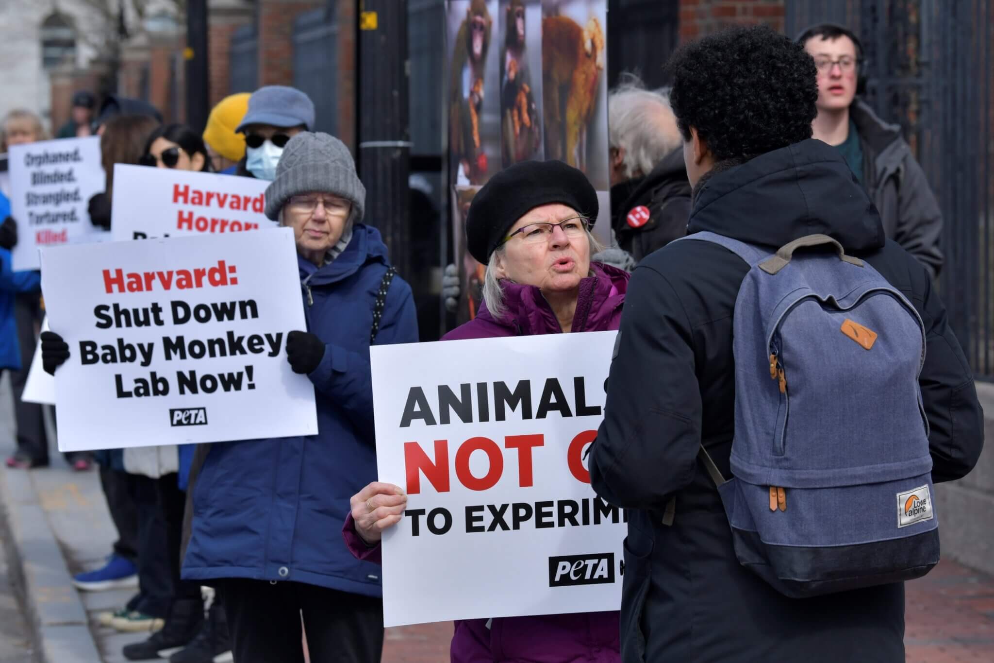 Campaign Updates: Harvard Baby Monkey Experiments | PETA