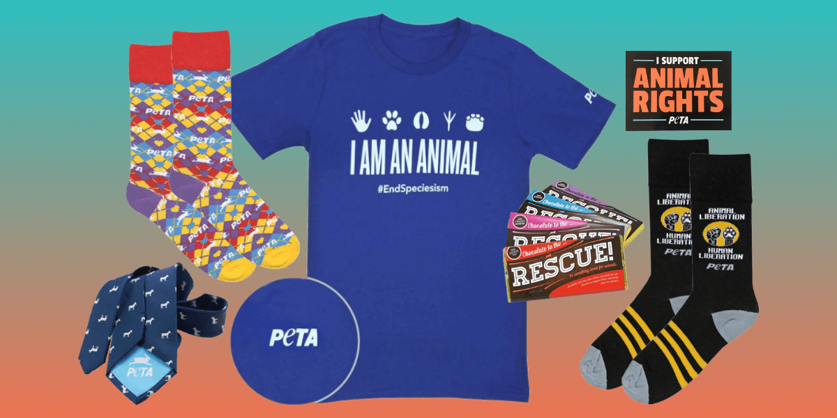 PETA’s Campaign to Save Working Donkeys | PETA