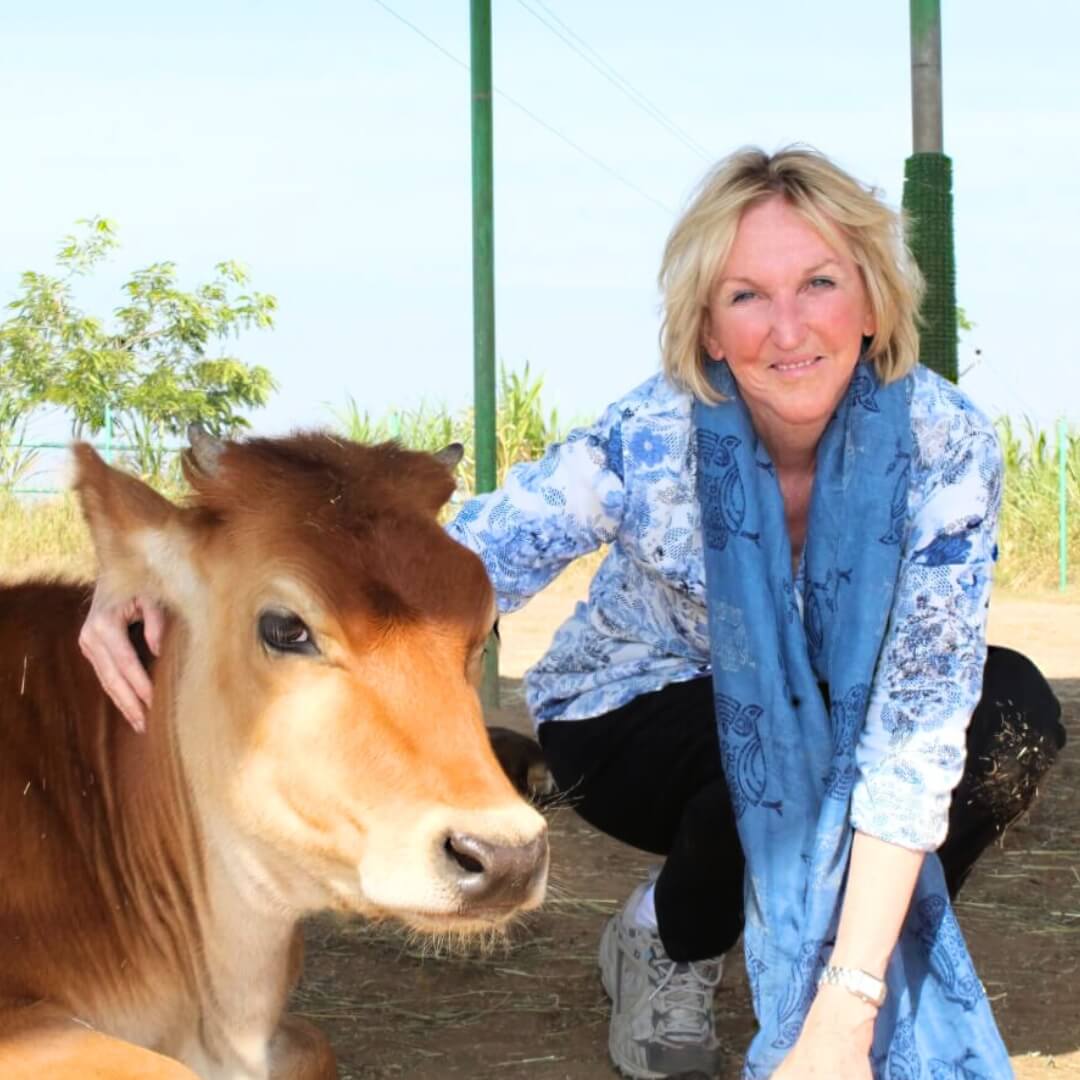 Help Animals Through PETA’s Global Compassion Fund