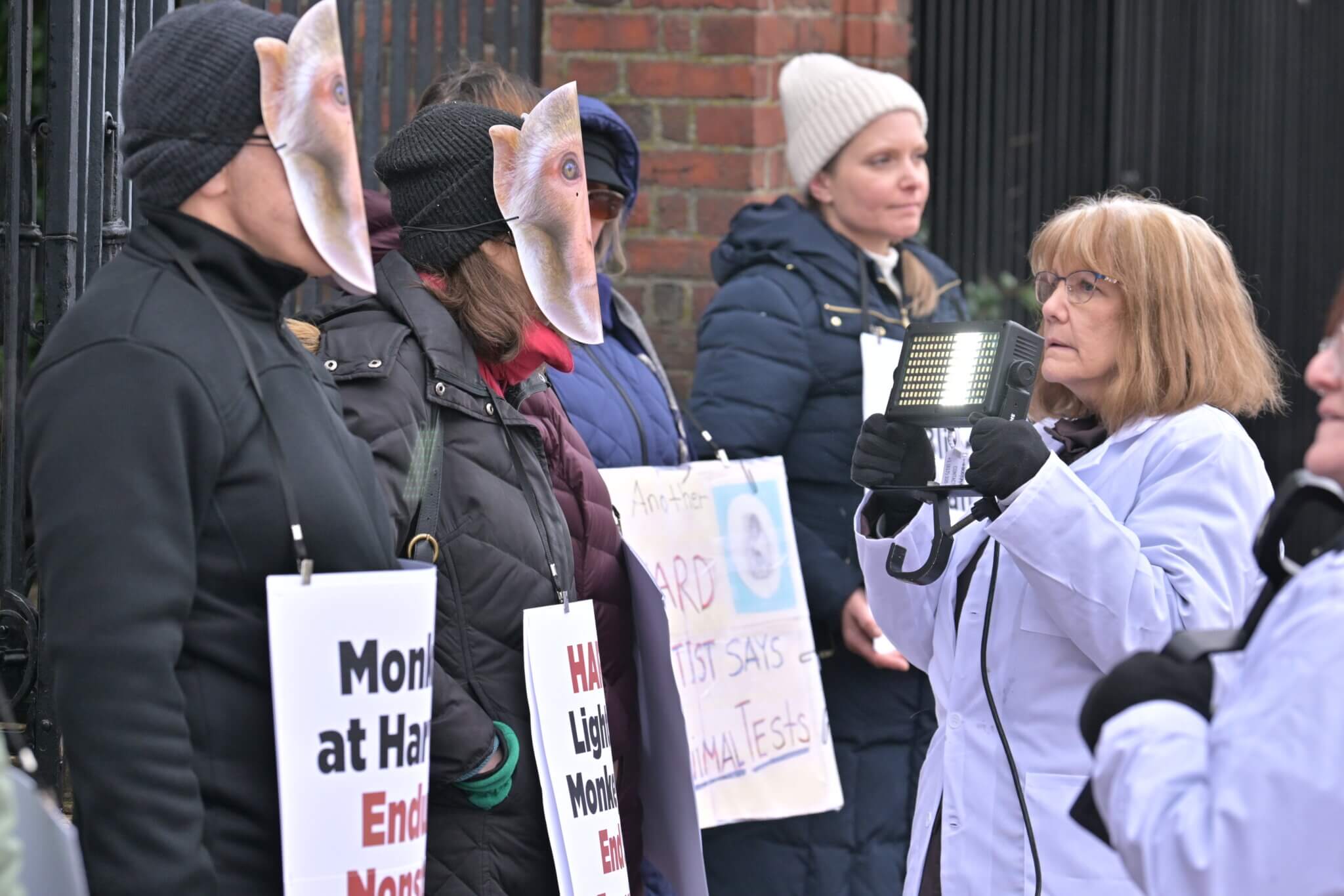 Campaign Updates: Harvard Baby Monkey Experiments | PETA