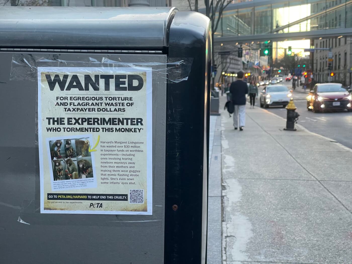 Campaign Updates: Harvard Baby Monkey Experiments | PETA