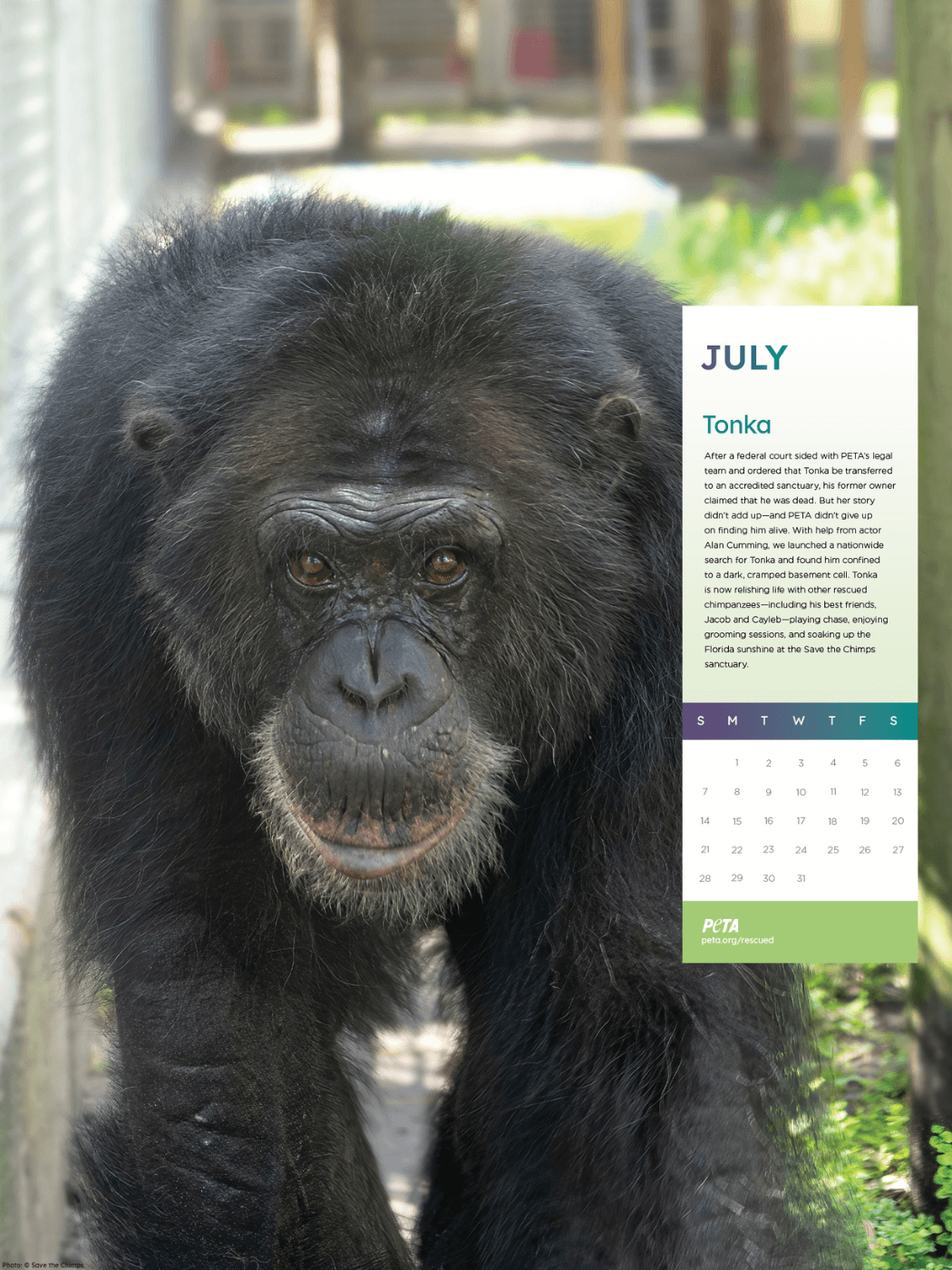 PETA's Investigations and Rescue Fund - Rescued - PETA Headlines