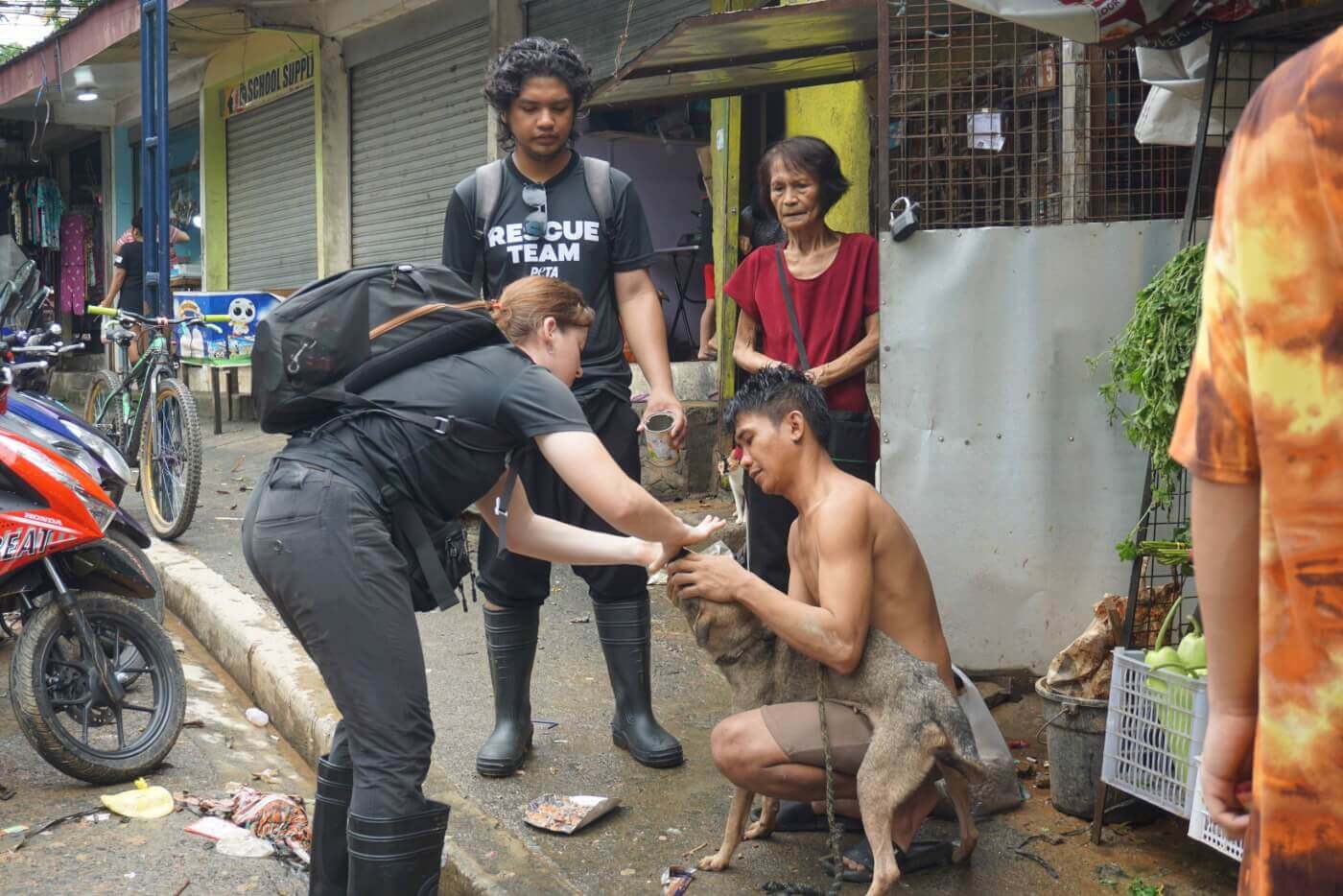 Help Philippines Through PETA’s Global Compassion Fund