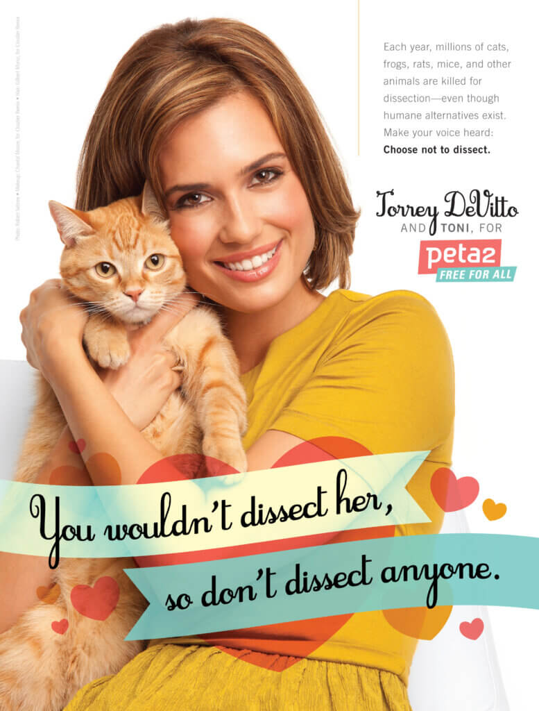 peta2 Partners With Your Fave Celebs | Experimentation