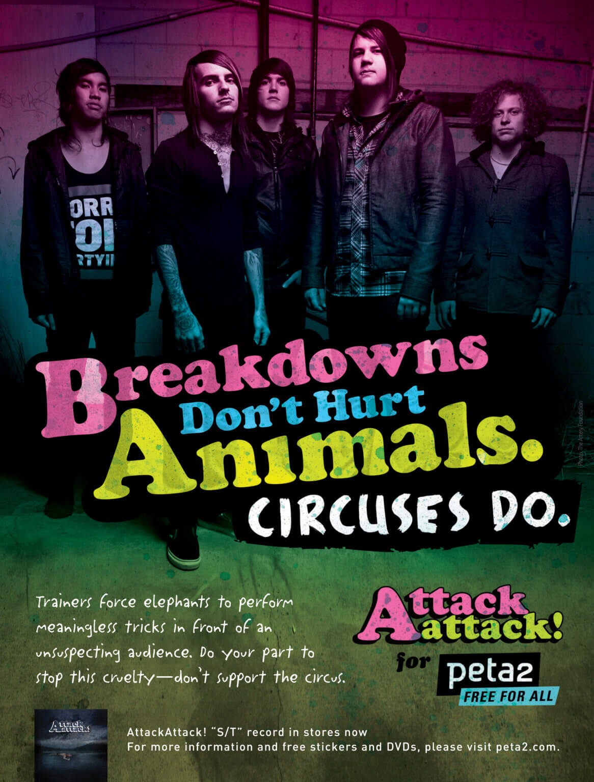 peta2 Partners With Your Fave Celebs, Bands, and Athletes | peta2