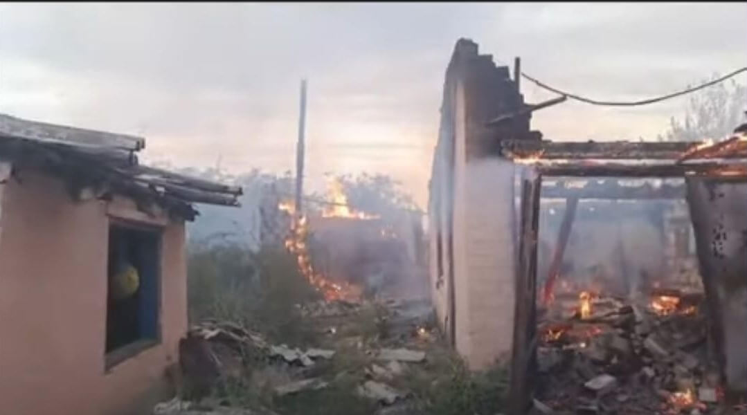 How This PETA-Supported Team Helped 20 Animals in Ukraine | PETA