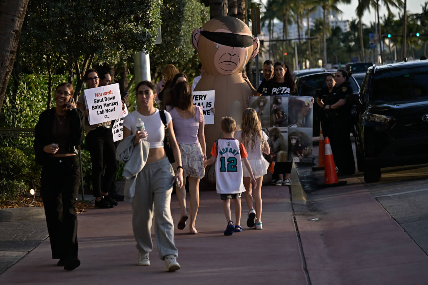 Campaign Updates: Harvard Baby Monkey Experiments | PETA