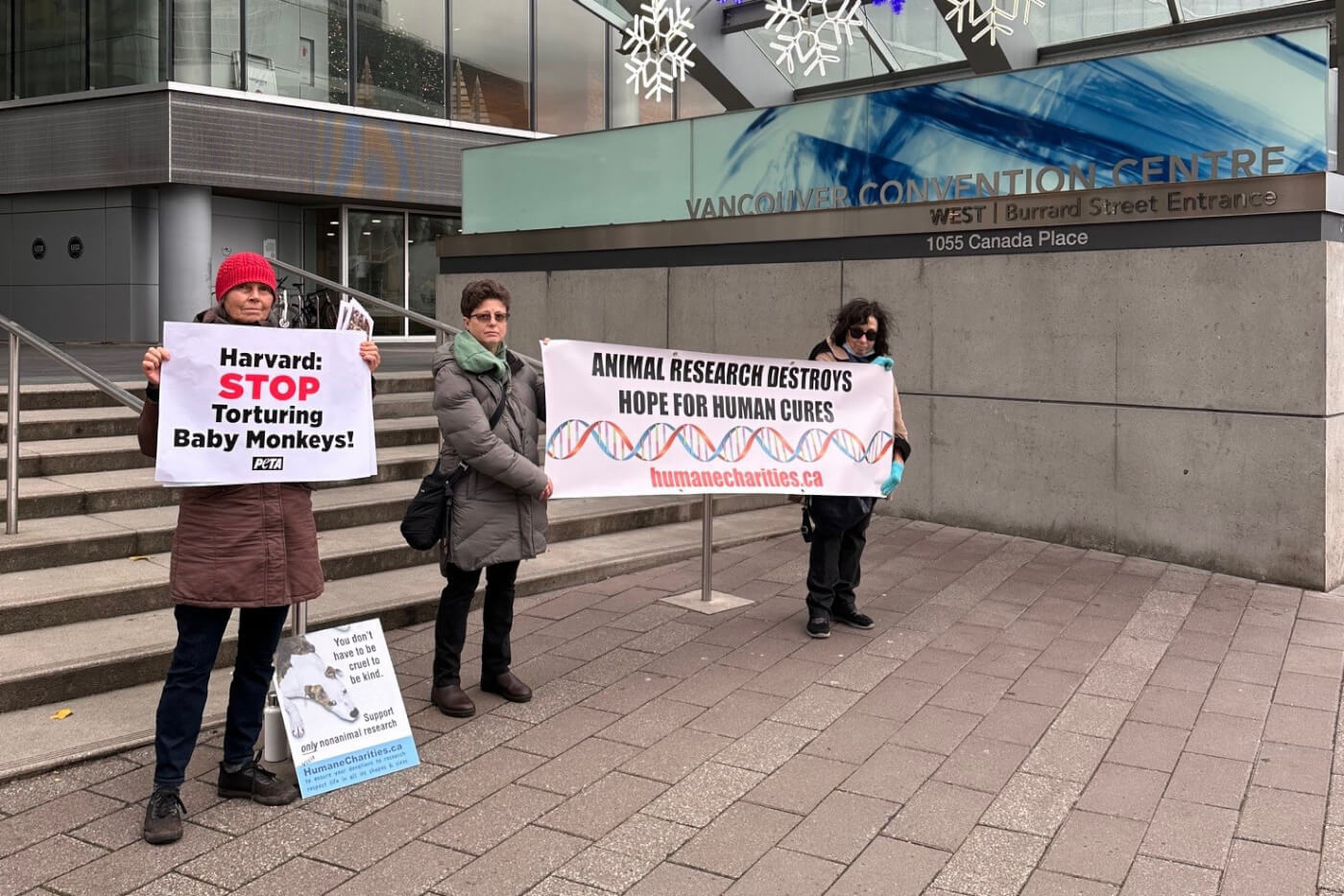 Campaign Updates: Harvard Baby Monkey Experiments | PETA