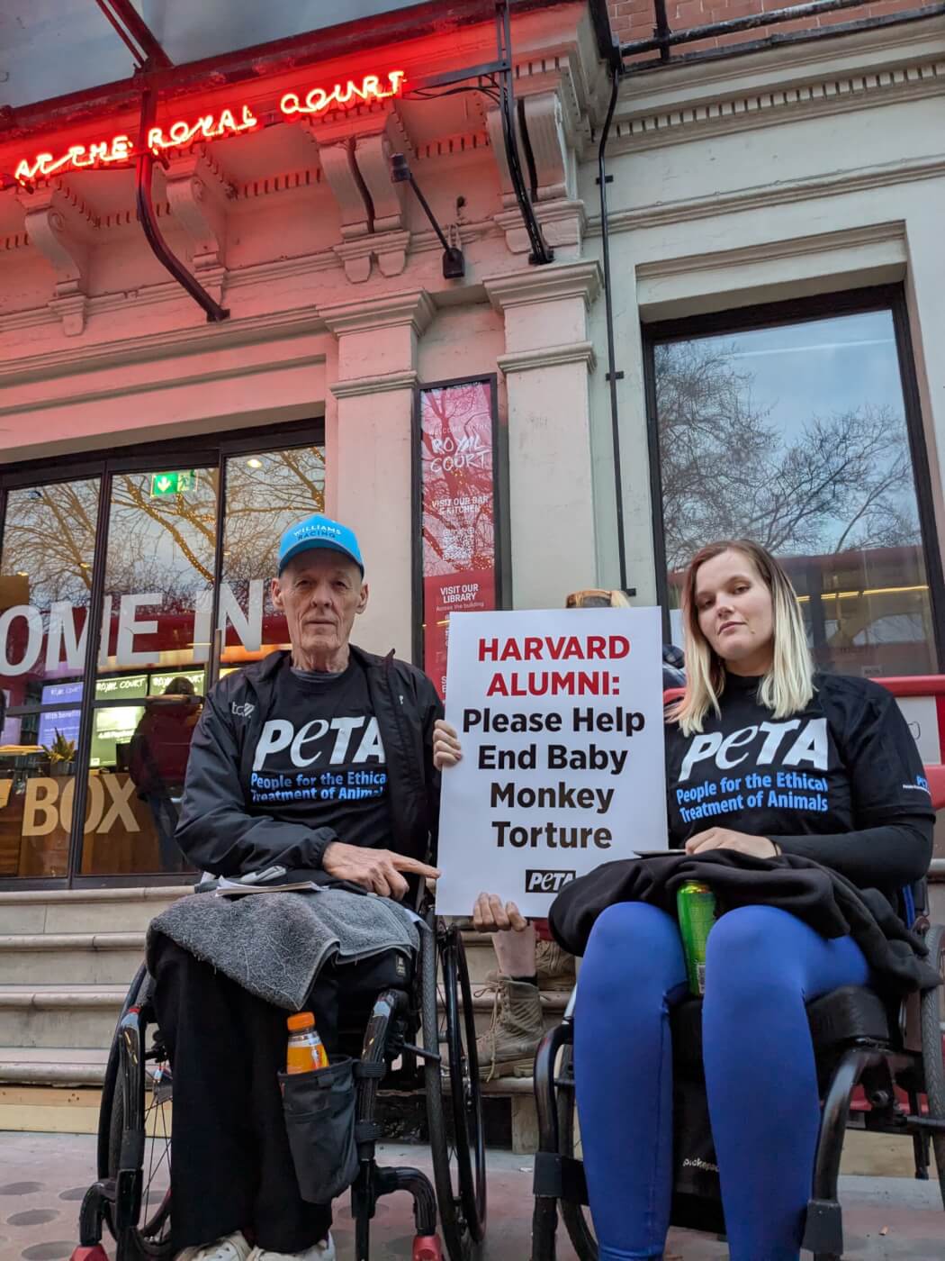 Campaign Updates: Harvard Baby Monkey Experiments | PETA