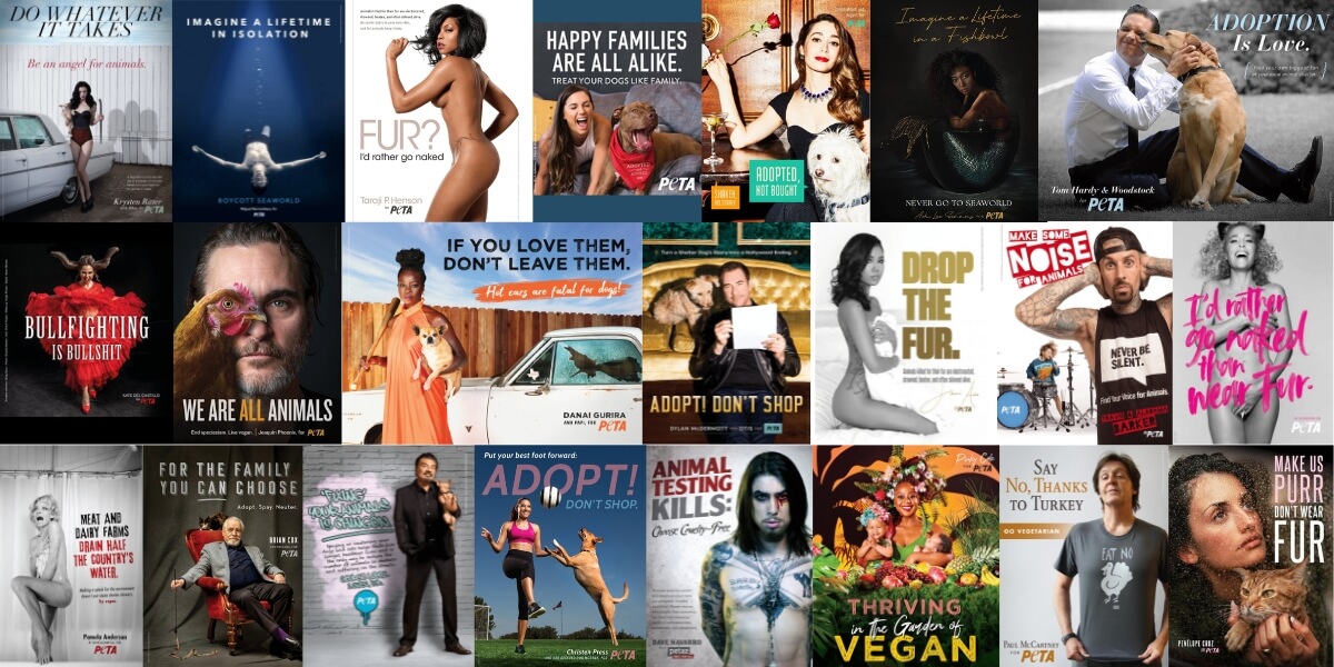 Celebrities Partner With PETA for Powerful Campaigns | PETA